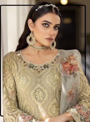 Elegant Biscuit Pakistani Suits Dress: Timeless Charm Redefined